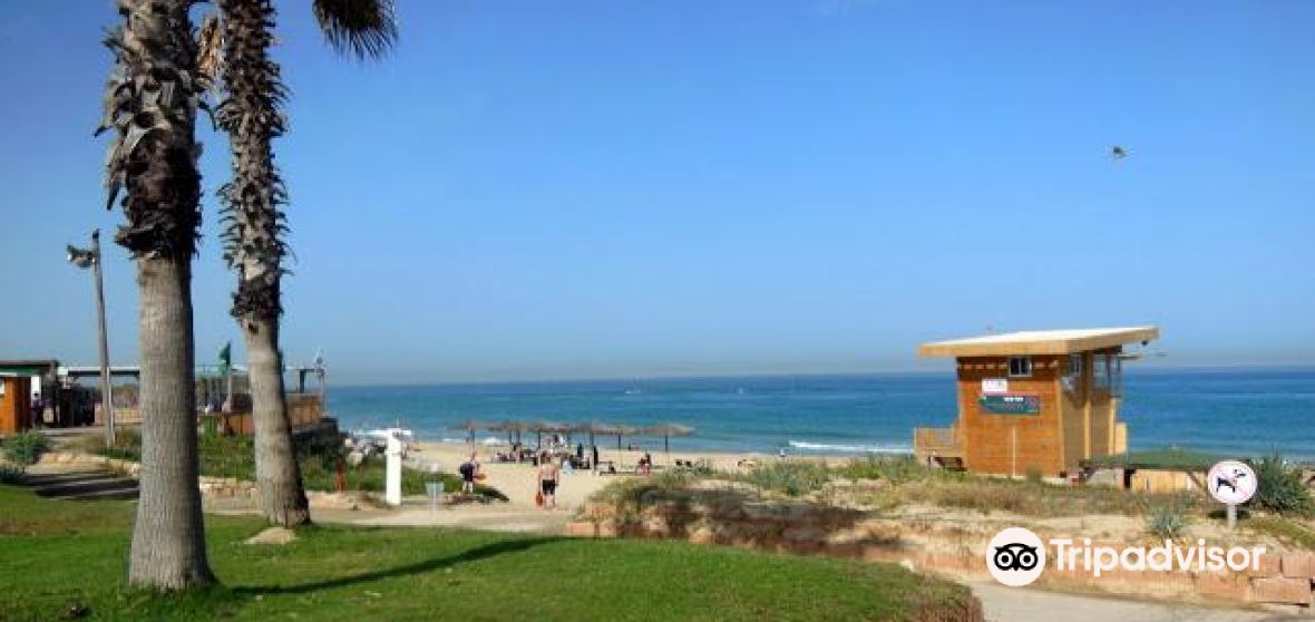 Gan Raveh Regional Council 2023 Top Things to Do - Gan Raveh Regional ...