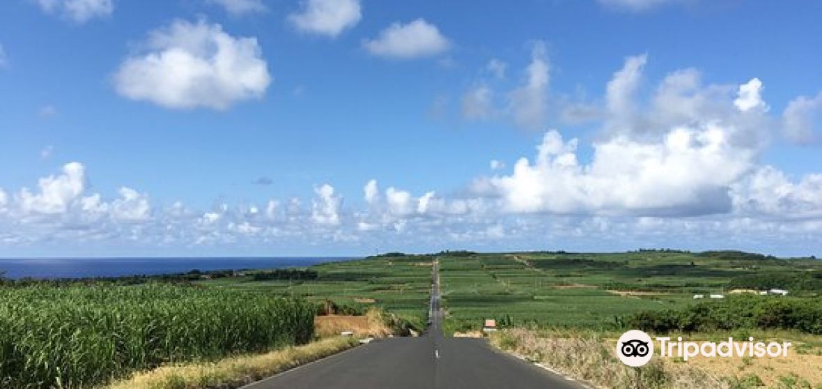 Kikai Travel Guide 2023 - Things to Do, What To Eat & Tips | Trip.com