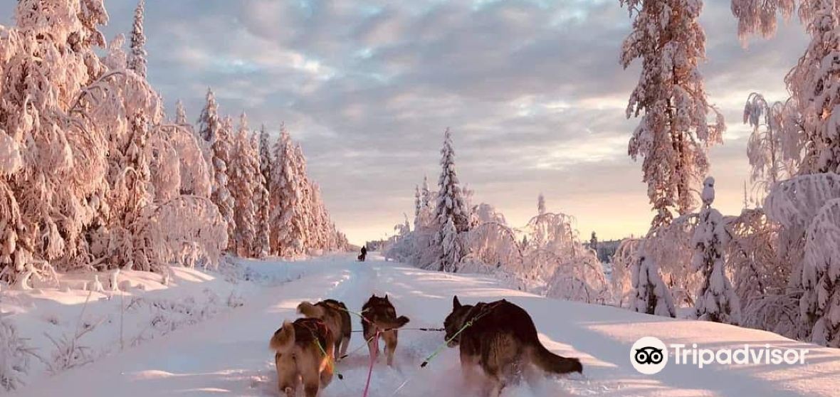 2023 Vindeln Municipality Meilleures choses à faire - Vindeln ...