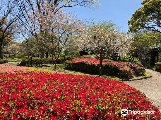 Fukuoka Itinerary for 5 Days : Ultimate Fukuoka Travel Guide - Trip.com