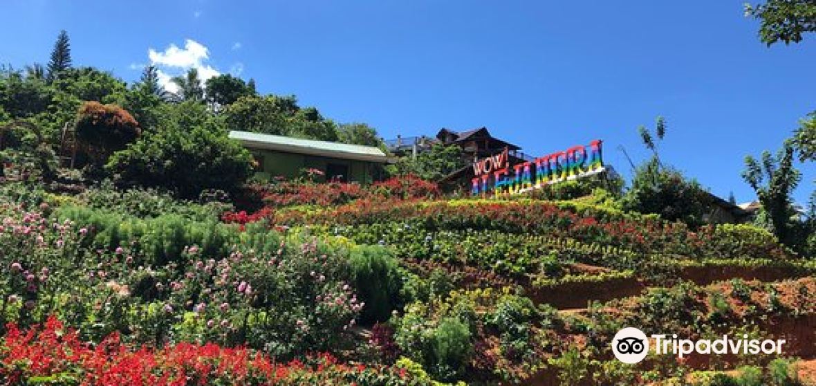 Balamban 2022 Top Things to Do - Balamban Travel Guides - Top ...