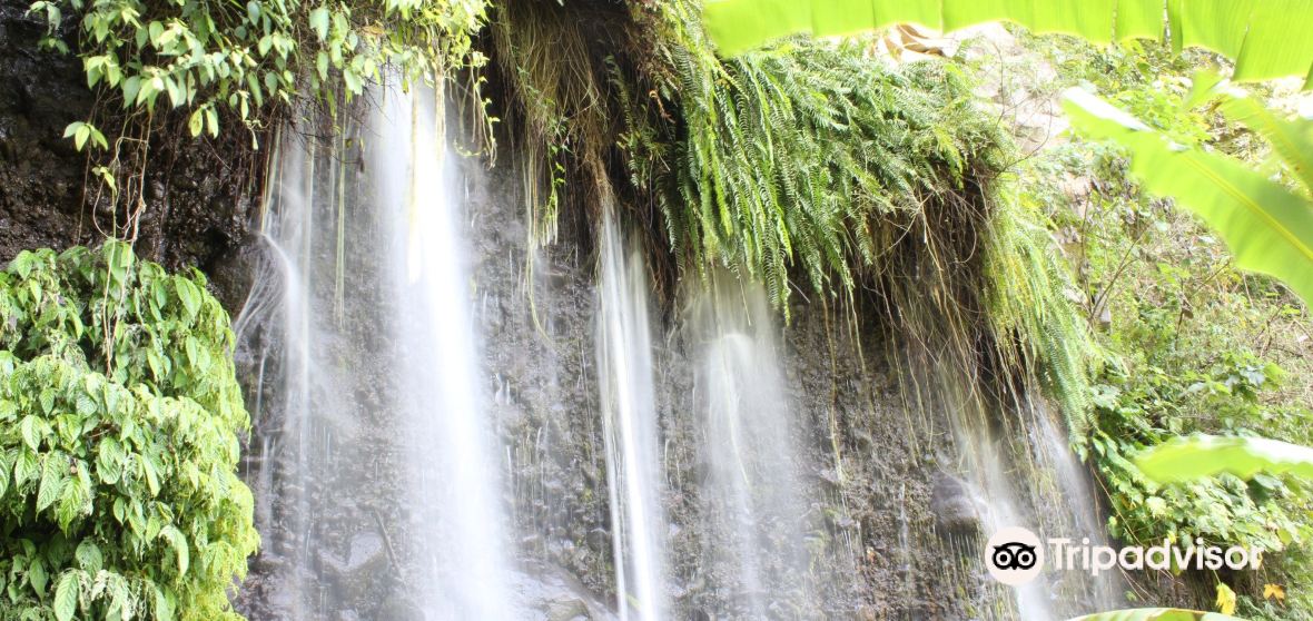 กิจกรรมน่าทำยอดนิยมในSumilaoประจำปี 2022 - คู่มือท่องเที่ยวSumilao ...