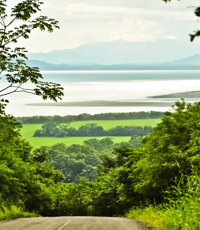 กิจกรรมน่าทำยอดนิยมในEl Pajonalประจำปี 2023 - คู่มือท่องเที่ยวEl ...