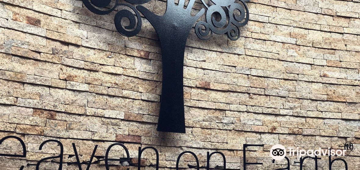 Toranagallu Travel Guide 2023 - Things to Do, What To Eat & Tips | Trip.com