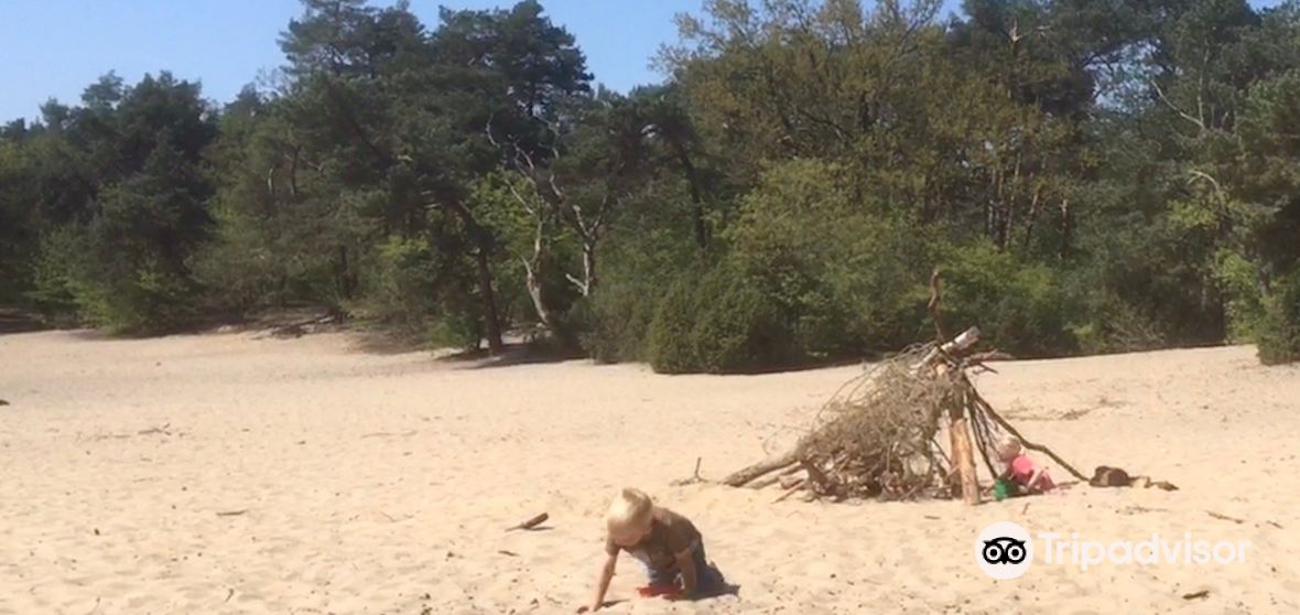 Losser Travel Guide 2023 - Things to Do, What To Eat & Tips | Trip.com