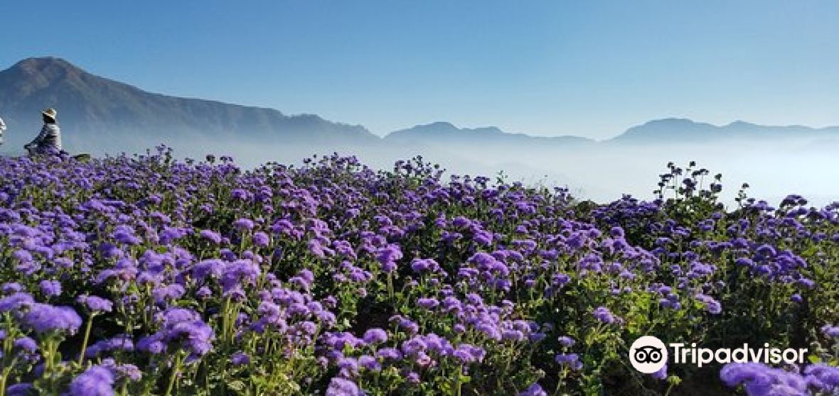 Atok Travel Guide 2023 - Things to Do, What To Eat & Tips | Trip.com