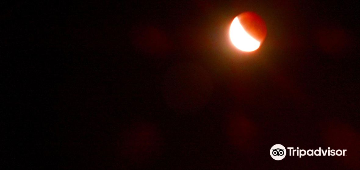 Seba Beach Travel Guide 2023 - Things to Do, What To Eat & Tips | Trip.com