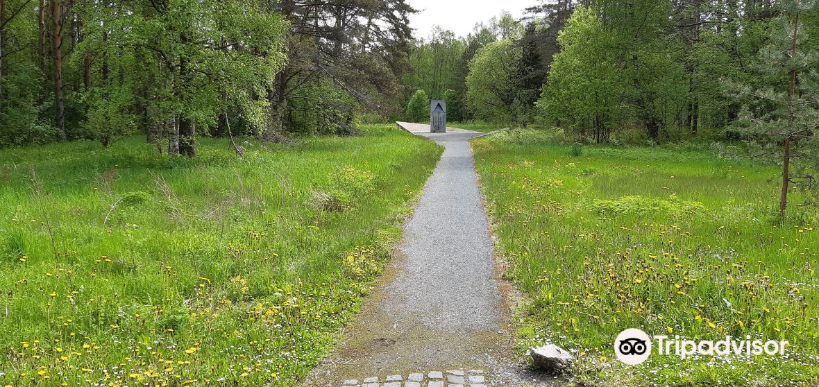 Klooga Travel Guide 2024 - Things to Do, What To Eat & Tips | Trip.com