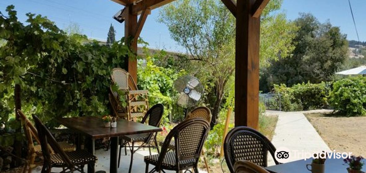 Motza Illit Travel Guide 2023 - Things to Do, What To Eat & Tips | Trip.com