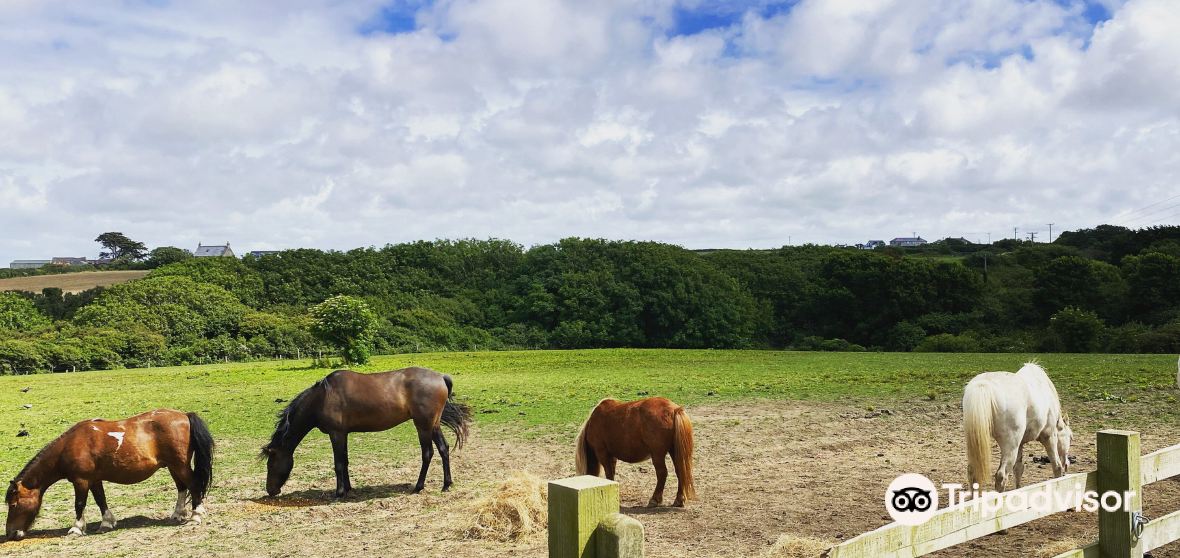 กิจกรรมน่าทำยอดนิยมในSaint Ervanประจำปี 2022 - คู่มือท่องเที่ยวSaint ...