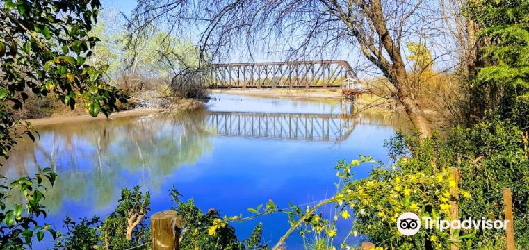 Patagones Partido 2022 Top Things to Do - Patagones Partido Travel ...