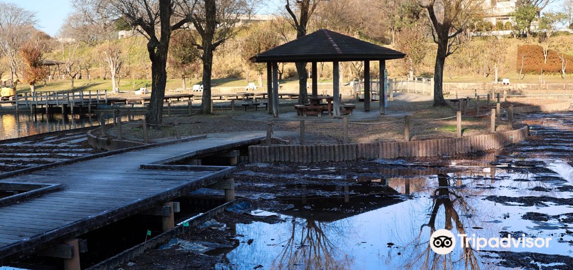 Moriya Travel Guide 2023 - Things to Do, What To Eat & Tips | Trip.com