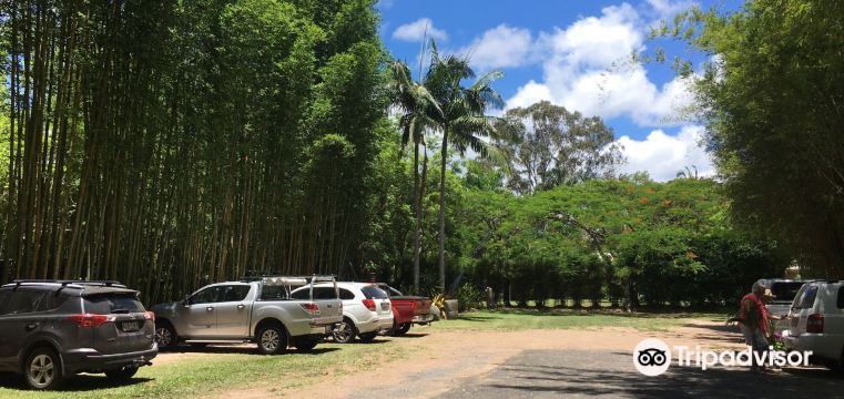 Torbanlea 2023 Top Things to Do - Torbanlea Travel Guides - Top ...