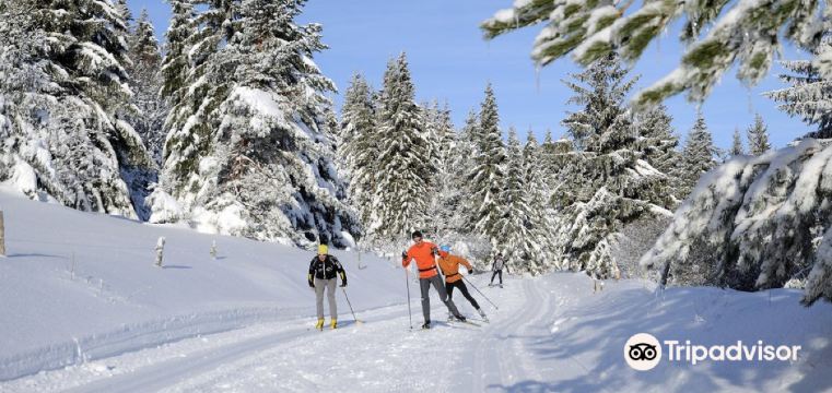 Le Bonhomme Travel Guide 2023 - Things to Do, What To Eat & Tips | Trip.com