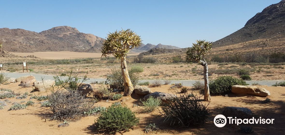 Springbok Travel Guide 2023 - Things to Do, What To Eat & Tips | Trip.com