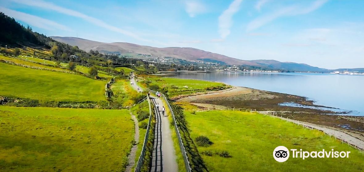 Carlingford Travel Guide 2023 - Things to Do, What To Eat & Tips | Trip.com