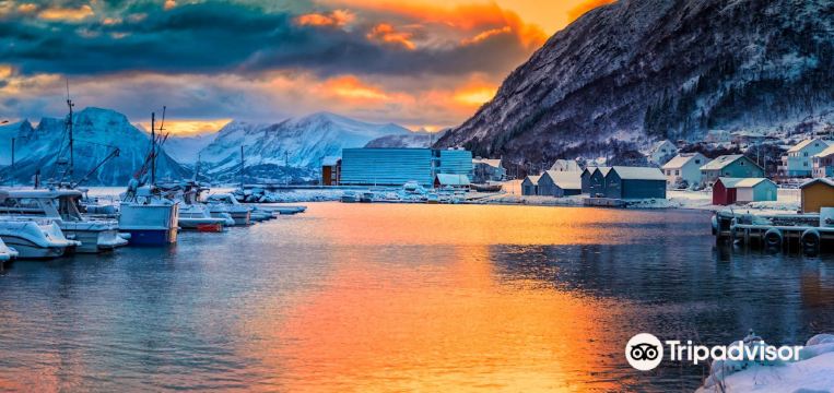 Hareid Travel Guide 2024 - Things to Do, What To Eat & Tips | Trip.com
