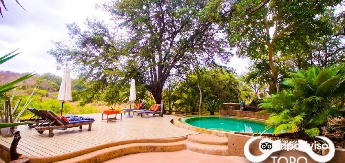 Mopani Travel Guide 2023 - Things to Do, What To Eat & Tips | Trip.com