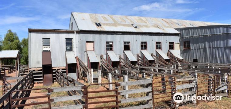 Carrathool Travel Guide 2023 - Things to Do, What To Eat & Tips | Trip.com