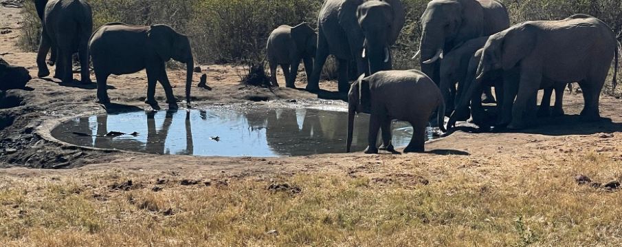 Zeerust Travel Guide 2023 - Things to Do, What To Eat & Tips | Trip.com