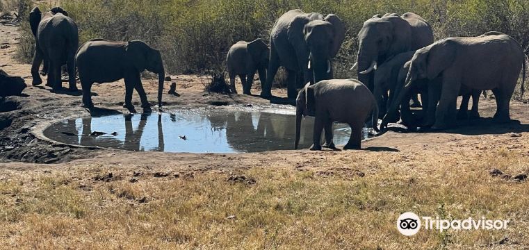 Zeerust 2022 Top Things to Do - Zeerust Travel Guides - Top Recommended ...