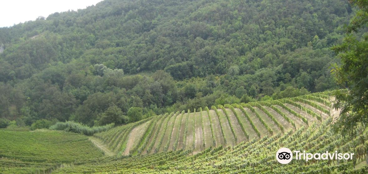 Serole Travel Guide 2023 - Things to Do, What To Eat & Tips | Trip.com