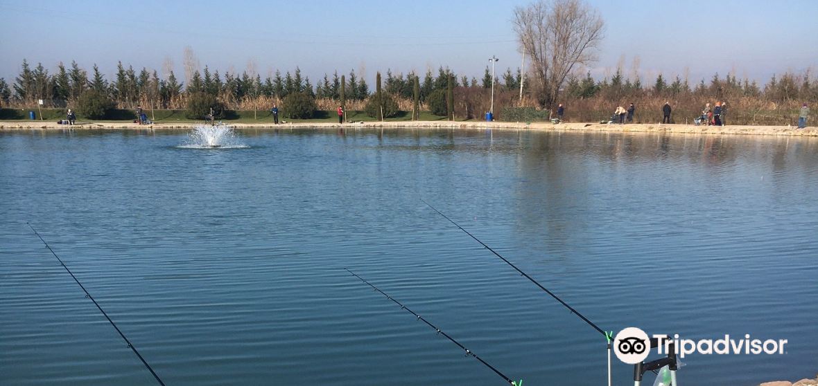 Ronco All'Adige Travel Guide 2023 - Things to Do, What To Eat & Tips ...