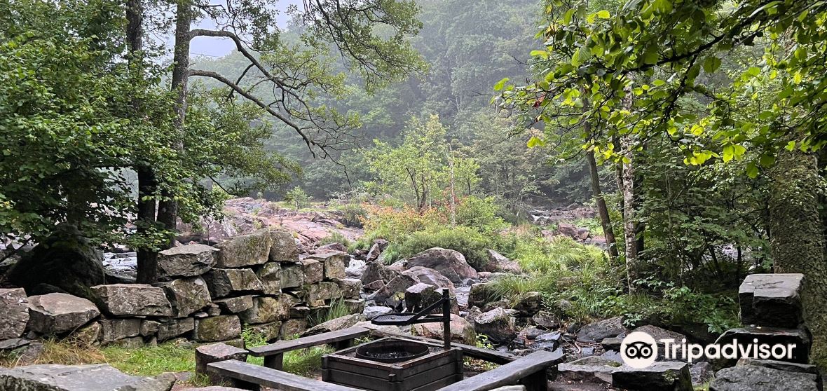 Ullared Travel Guide 2023 - Things to Do, What To Eat & Tips | Trip.com