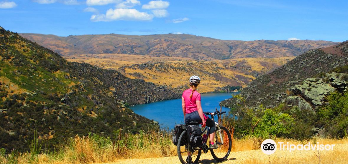 Clyde Travel Guide 2023 - Things to Do, What To Eat & Tips | Trip.com