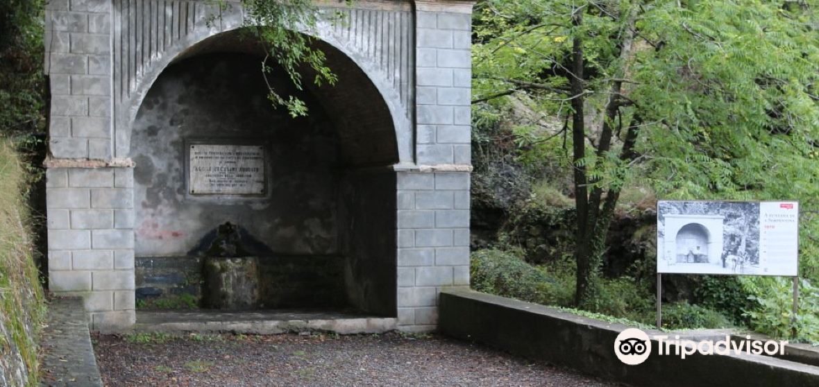 กิจกรรมน่าทำยอดนิยมในSanta-Maria-Poggioประจำปี 2023 - คู่มือท่องเที่ยว ...