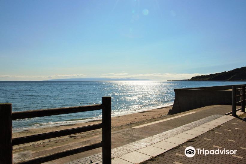 คู่มือท่องเที่ยวล่าสุดสำหรับ Tekkui Land Taisei Michi-no-Eki ประจำเดือน ...