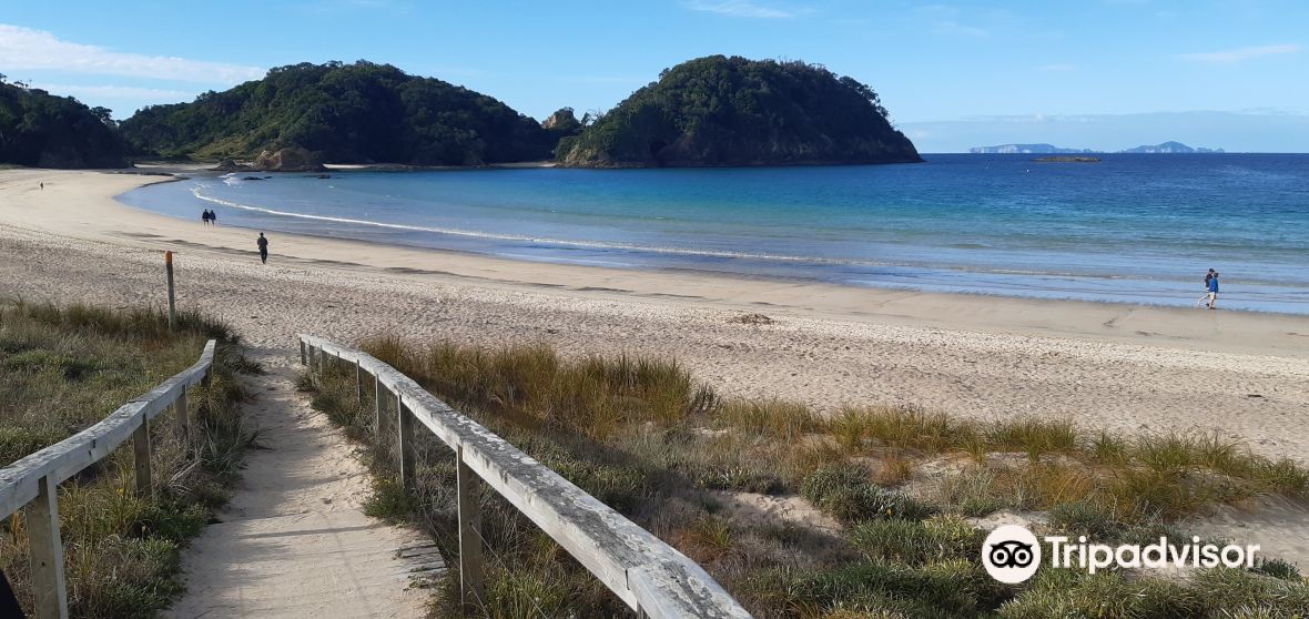 Matapouri Travel Guide 2023 - Things to Do, What To Eat & Tips | Trip.com