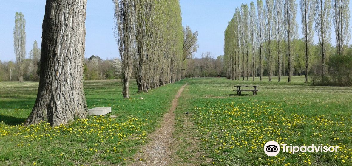 Colugna Travel Guide 2023 - Things to Do, What To Eat & Tips | Trip.com