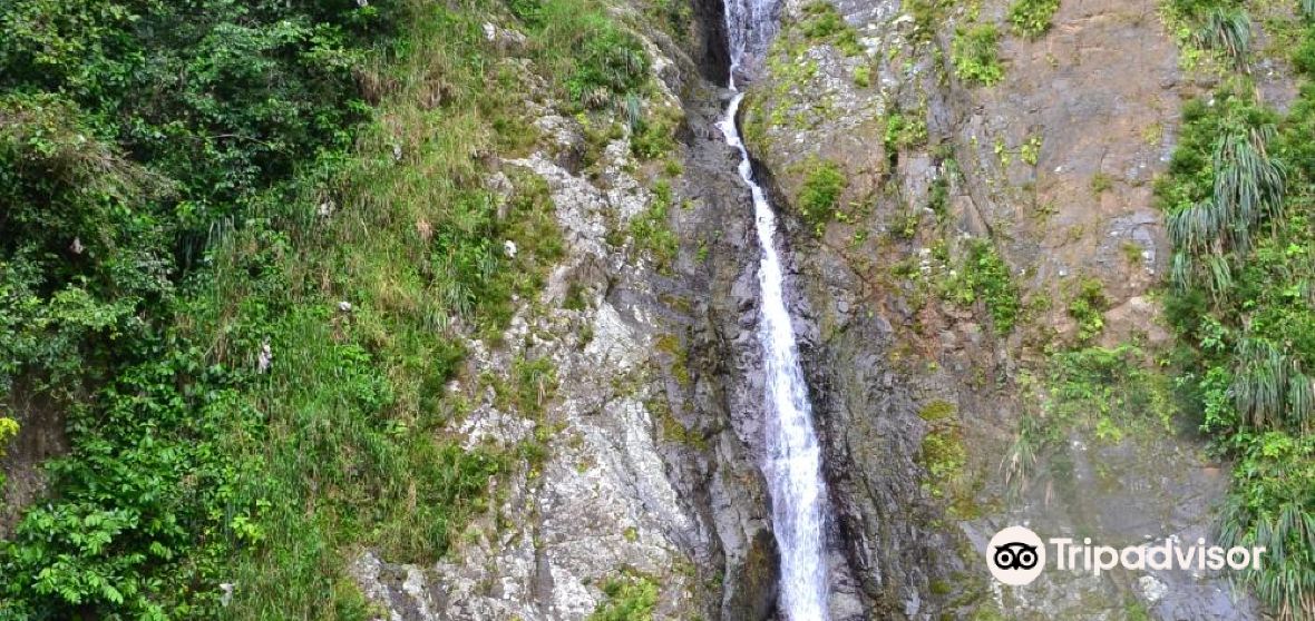 Toro Negro Travel Guide 2023 - Things to Do, What To Eat & Tips | Trip.com