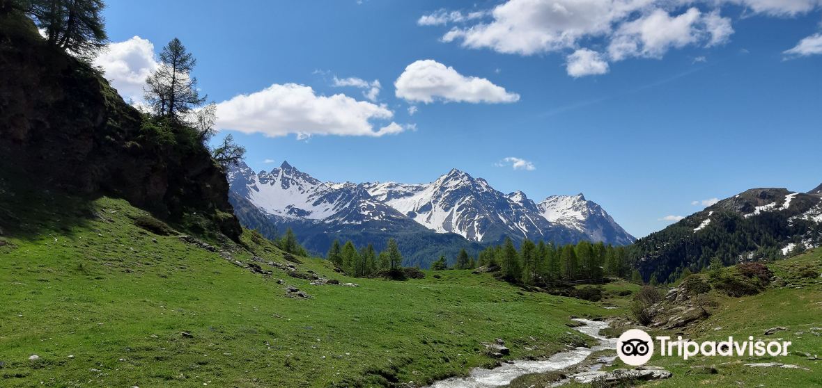 Poschiavo Travel Guide 2023 - Things to Do, What To Eat & Tips | Trip.com