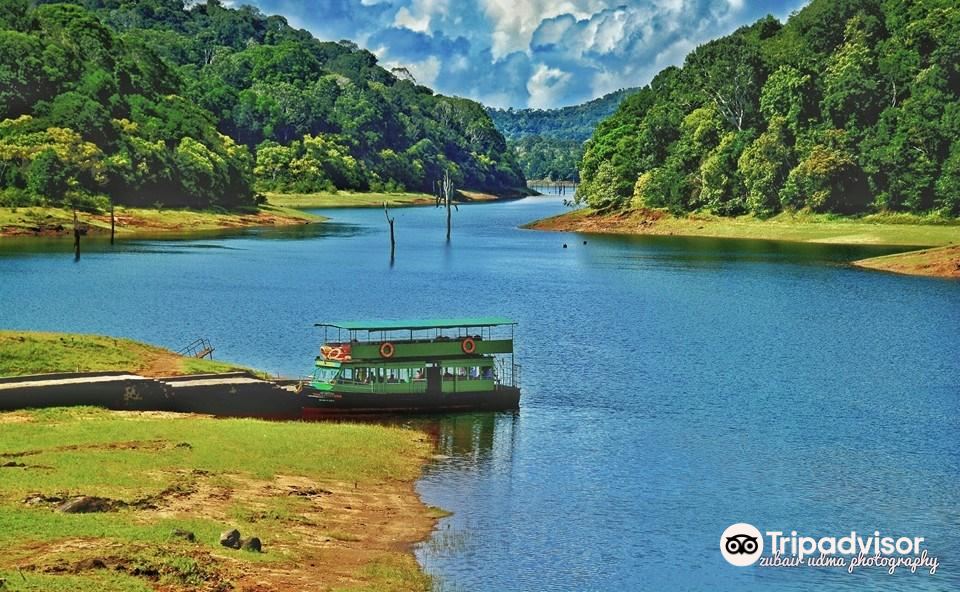 What Is Rajapalayam Famous For