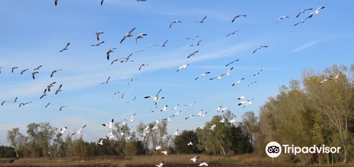 Colusa Travel Guide 2023 - Things to Do, What To Eat & Tips | Trip.com