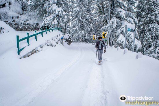 Top Travel Destinations in Murree: Best 2 Days Murree Itinerary - Trip.com