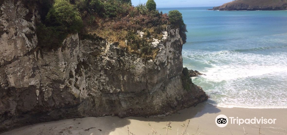 Waitati Travel Guide 2023 - Things to Do, What To Eat & Tips | Trip.com