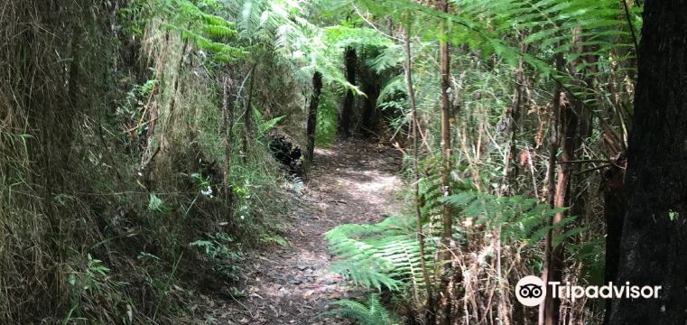 กิจกรรมน่าทำยอดนิยมในLabertoucheประจำปี 2022 - คู่มือท่องเที่ยว ...