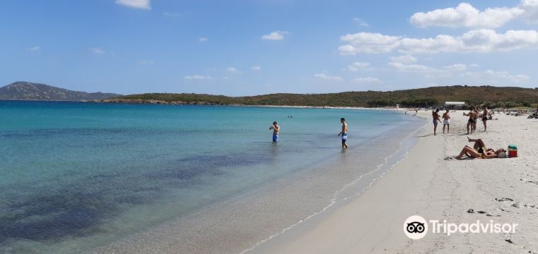 Pittulongu 2023 Top Things to Do - Pittulongu Travel Guides - Top ...