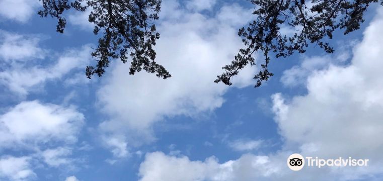 กิจกรรมน่าทำยอดนิยมในJeneponto Regencyประจำปี 2023 - คู่มือท่องเที่ยว ...