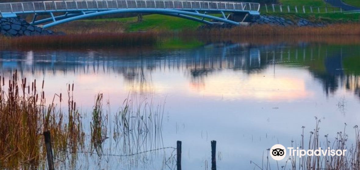 Castlebar Travel Guide 2023 - Things to Do, What To Eat & Tips | Trip.com