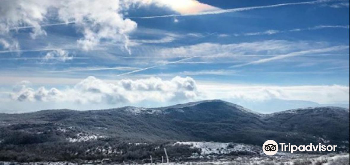 Municipality of Boljevac 2023 Top Things to Do - Municipality of ...