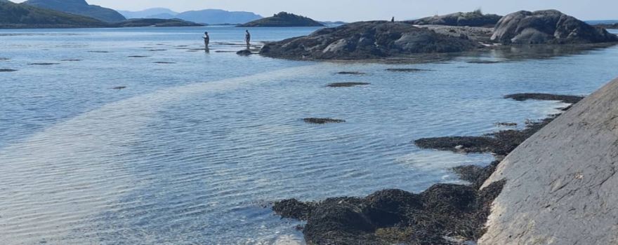 Somna Travel Guide 2023 - Things to Do, What To Eat & Tips | Trip.com