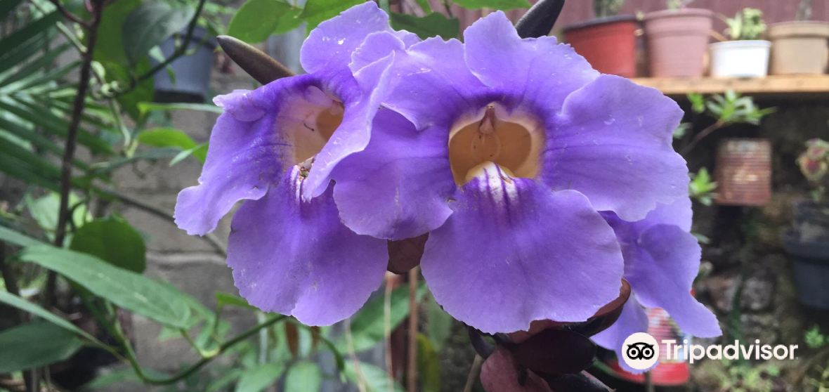 Pluma Hidalgo Travel Guide 2023 - Things to Do, What To Eat & Tips ...