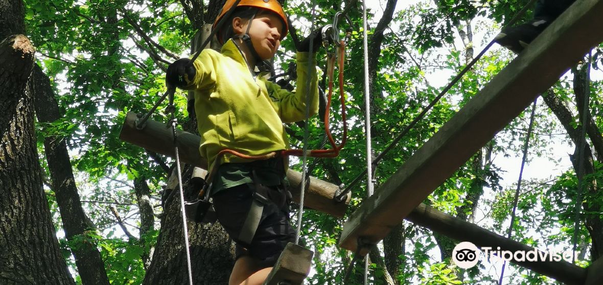 Feleacu Travel Guide 2023 - Things to Do, What To Eat & Tips | Trip.com