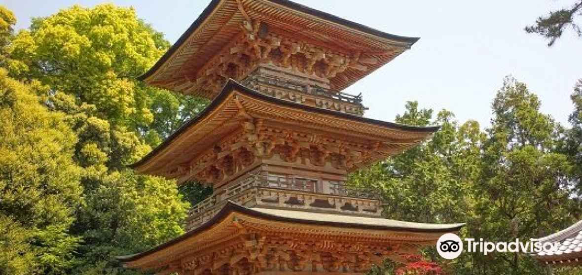 Yoshimi Travel Guide 2023 - Things to Do, What To Eat & Tips | Trip.com