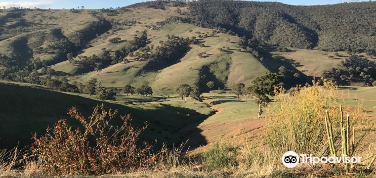 กิจกรรมน่าทำยอดนิยมในLicolaประจำปี 2022 - คู่มือท่องเที่ยวLicola ...