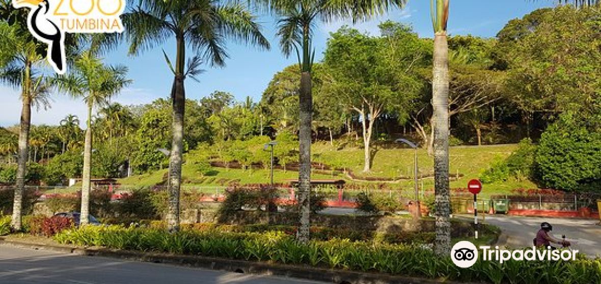 Bintulu Travel Guide 2023 - Things to Do, What To Eat & Tips | Trip.com